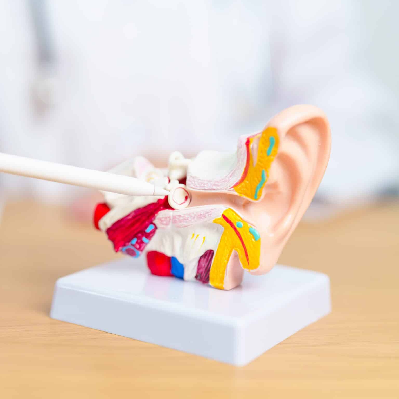 Itchy Ears Explained: Causes and Care | Earworx